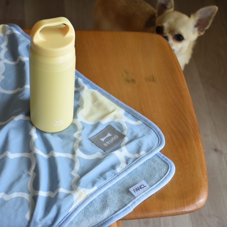 FANCL × BRUNO 】ブランケットとボトル届きました【夏のご愛顧感謝キャンペーン】 | わが家のここち。